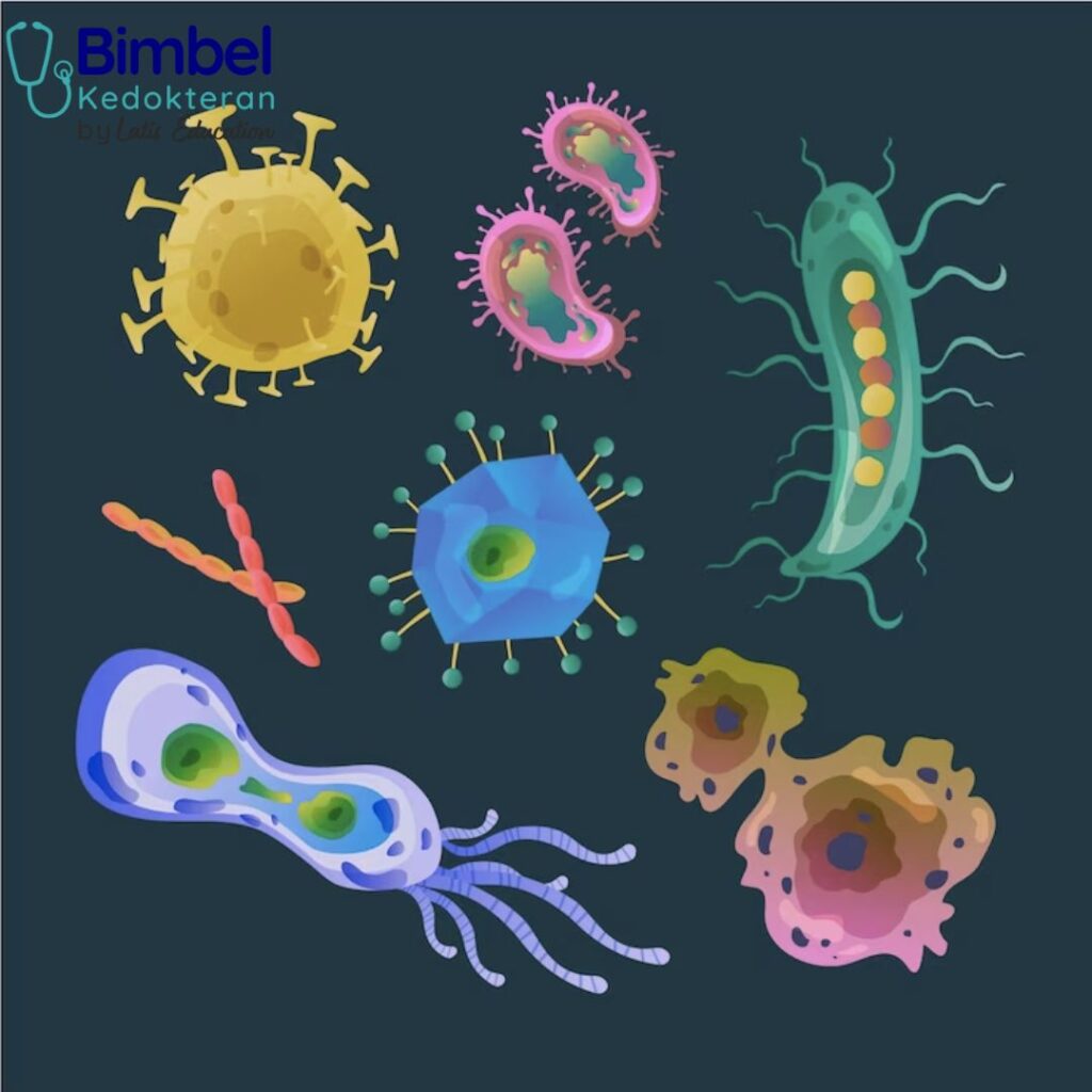 Klasifikasi Protista, Soal & Pembahasan | Biologi 10 SMA